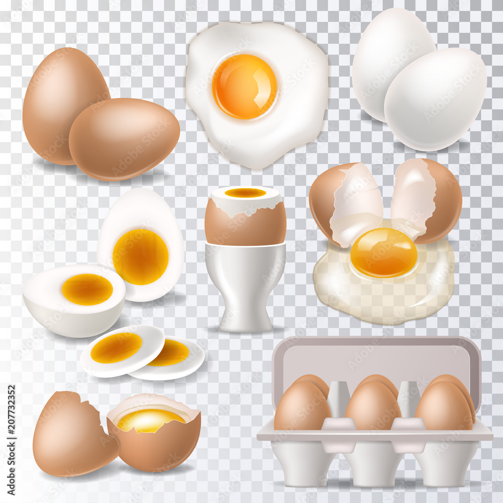 Egg vector healthy food eggwhite or yolk in egg-cup for breakfast ...