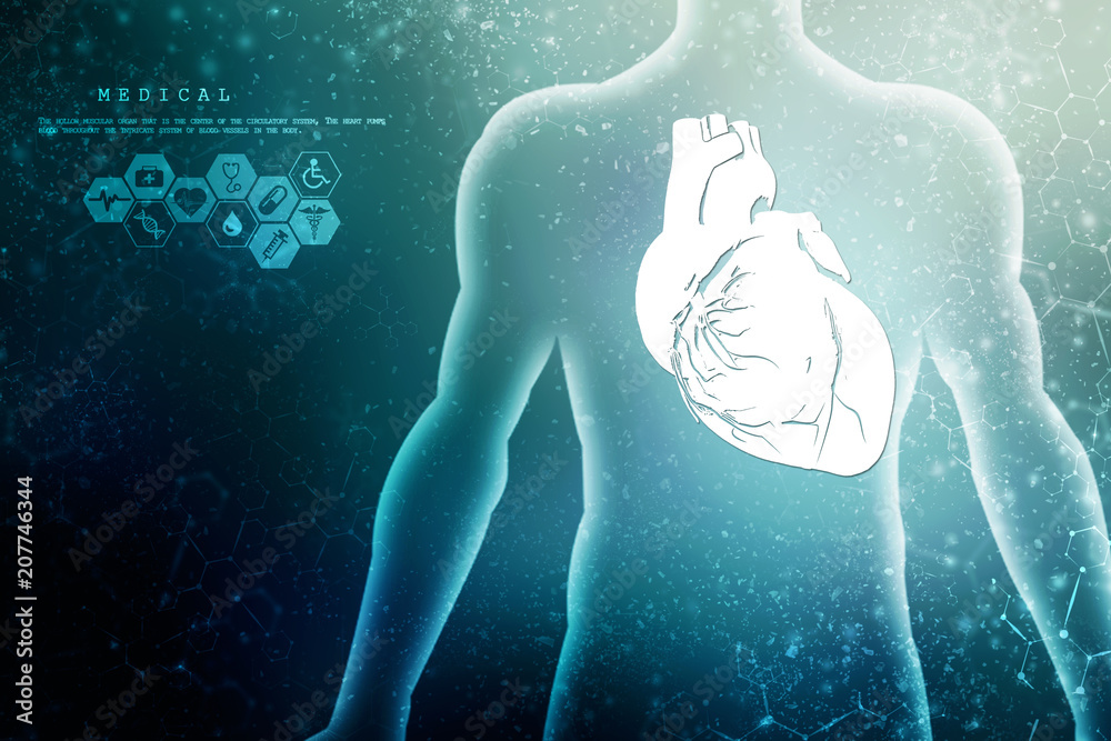 Poster 2d illustration Anatomy of Human Heart – Wall Art | UkPosters