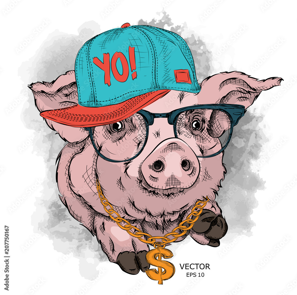 A painted funny pig with glasses and a hip hop cap. Vector illustration ...