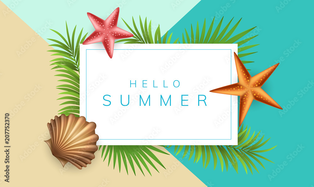 Simple summer background with shells and palm leaves. Vector ...