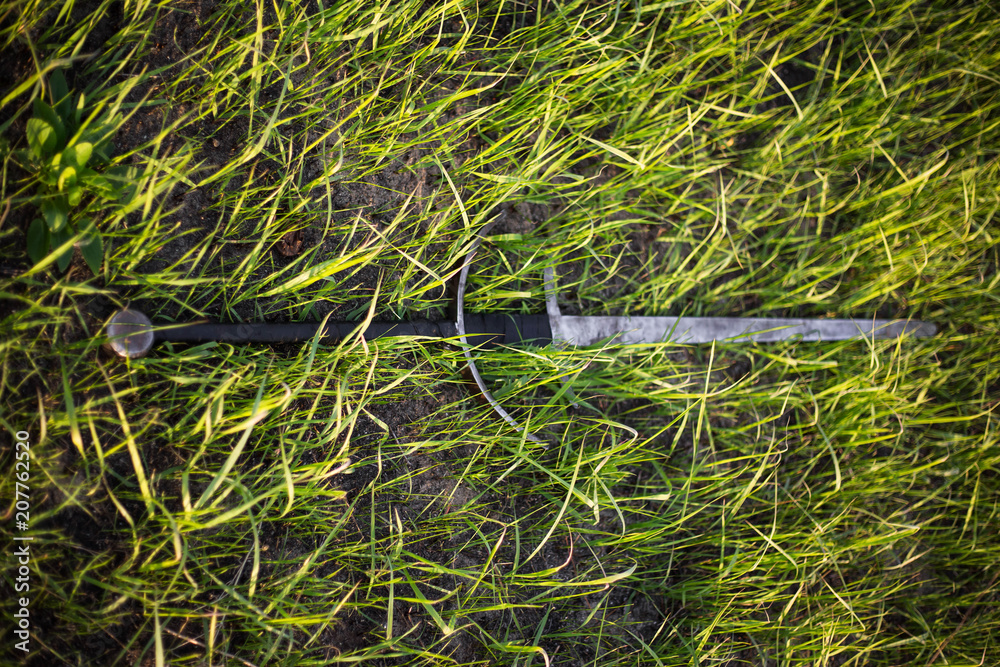 a two-handed sword lies in a tall green grass. The battlefield, after ...