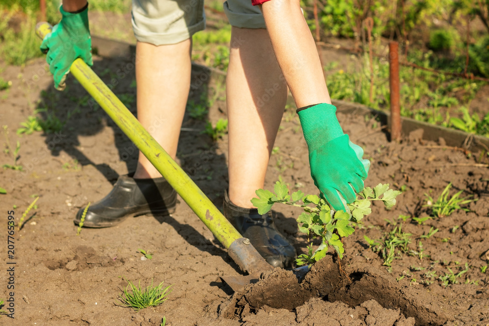 Fragment of woman's legs digging soil with shovel close up view Stock ...