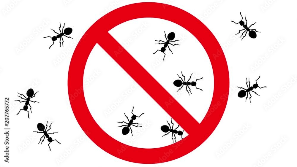 Ants in prohibition sign. Black silhouettes of pests swarm on white ...