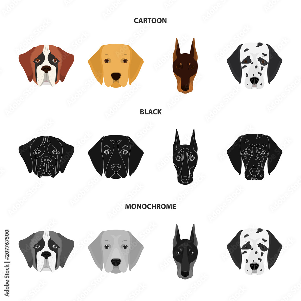 Golden Retriever Mixed With Doberman