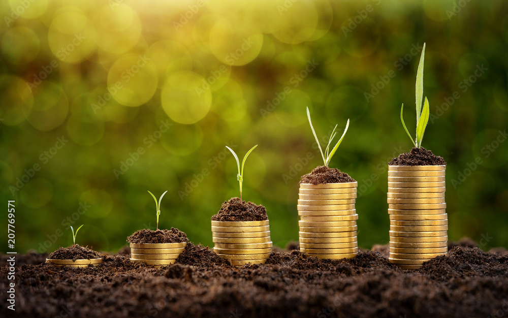 Investment concept, rising coins chart with growing plants over ...