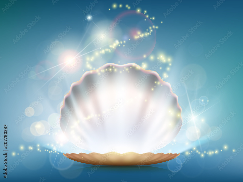 Open empty seashell. Stock Vector | Adobe Stock