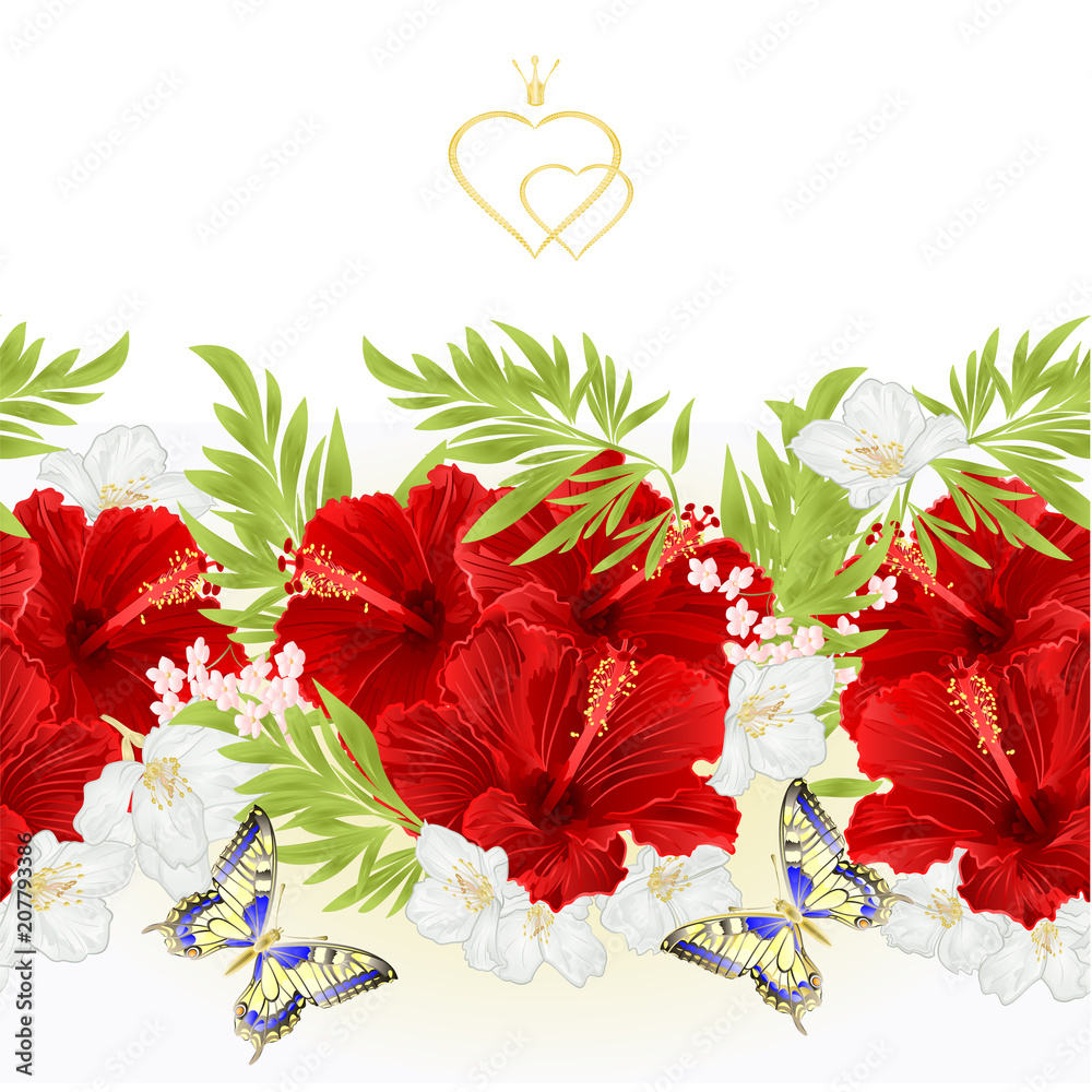 Hibiscus Flower Clipart Border