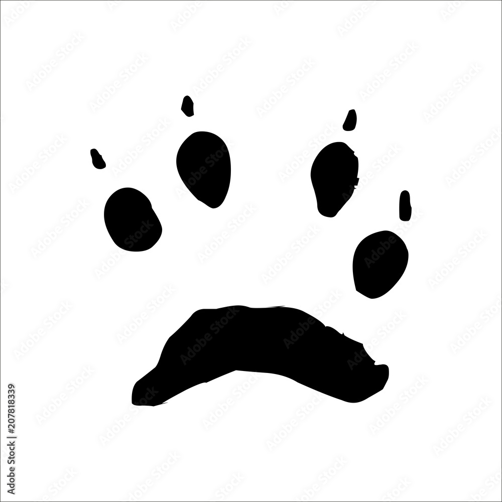 Red Squirrel Footprints Clipart