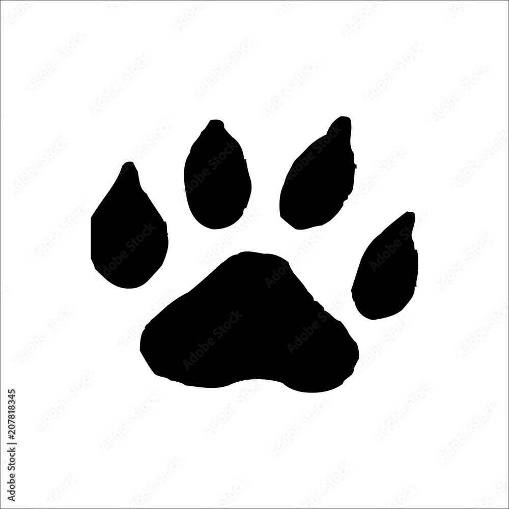 Sheep Footprints