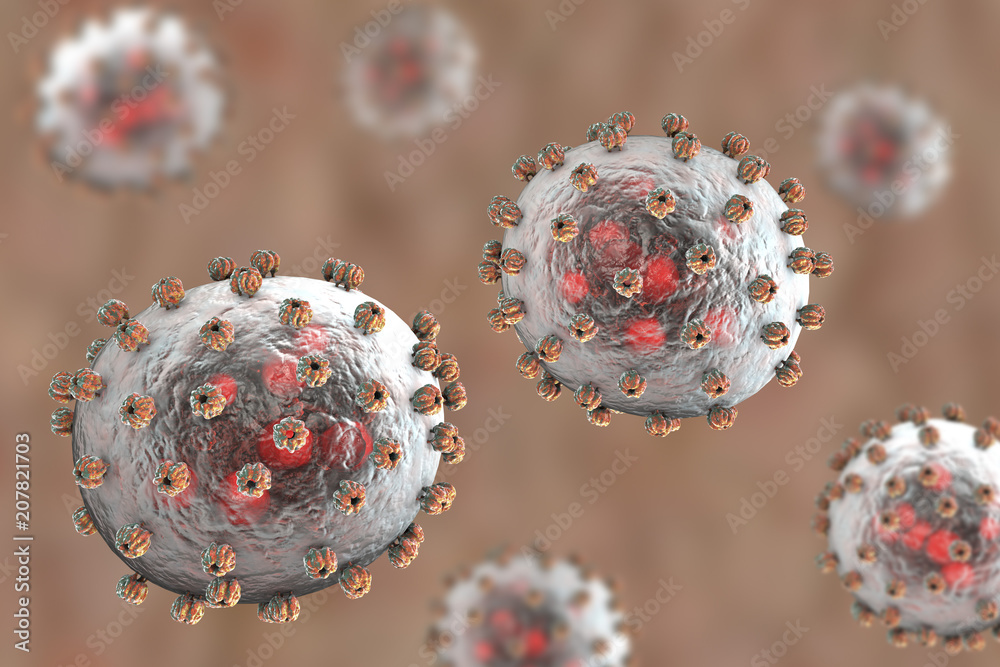 Lassa fever viruses, 3D illustration. RNA-viruses from Arenaviridae ...