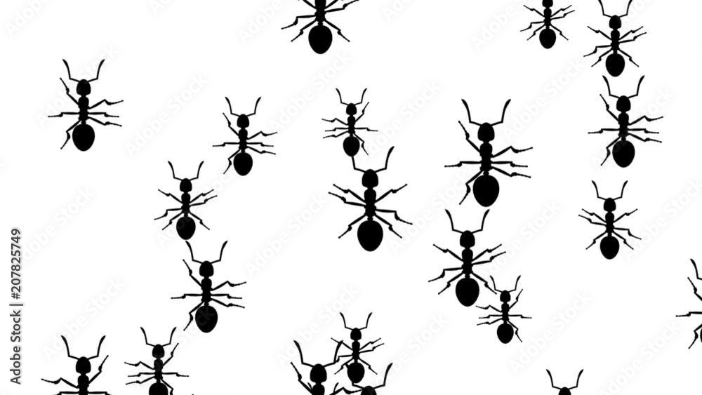 Vidéo Stock Invasion of hordes of ants. Crowd of creepy insects runs on ...