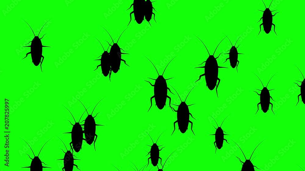 Invasion of hordes of cockroaches. Crowd of creepy insects runs on ...