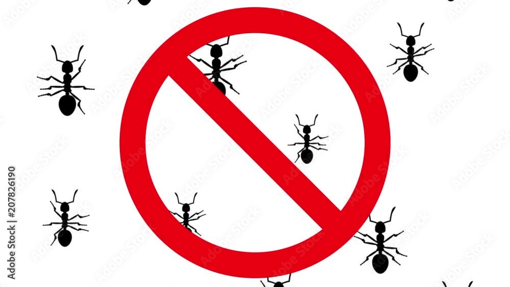 Ants in prohibition sign. Black silhouettes of pests creep up on white ...