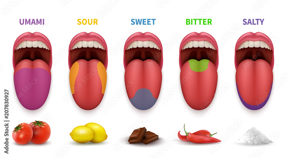 Plakat Human tongue basic taste areas. Smack map in mouth sweet, salty ...