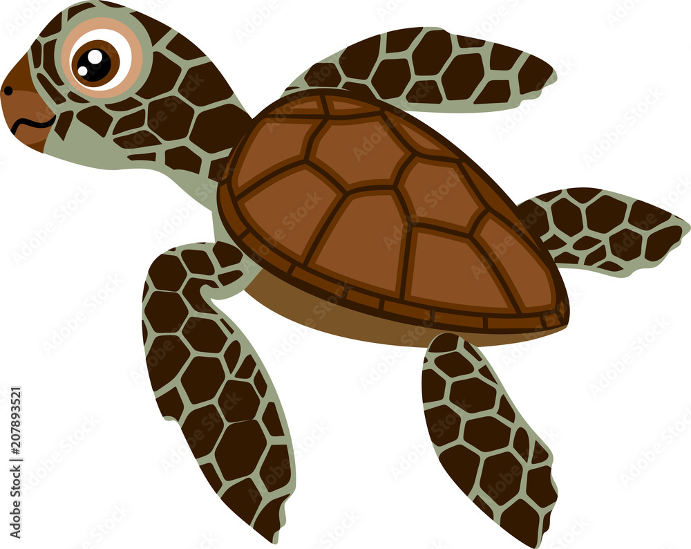 Cute cartoon hatchling of sea turtle on white background Stock Vector ...