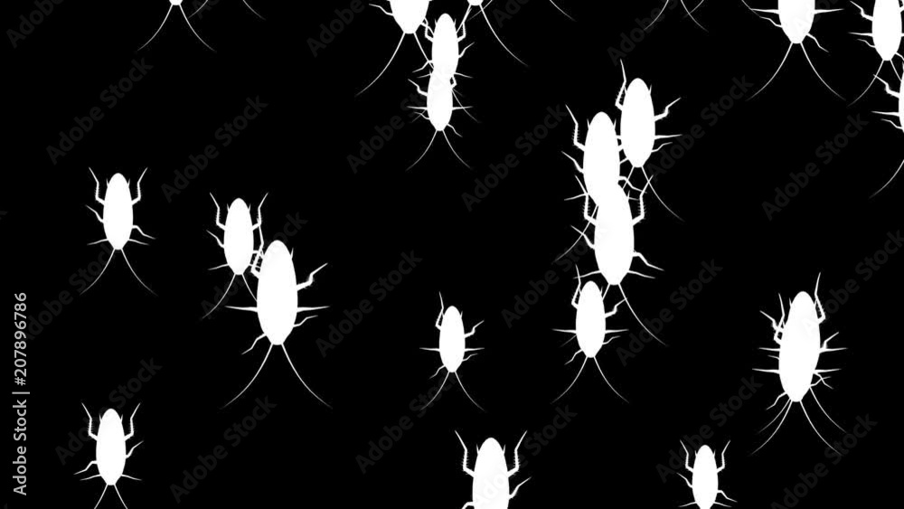 Invasion of hordes of cockroaches. Alpha matte mask. Crowd of creepy ...