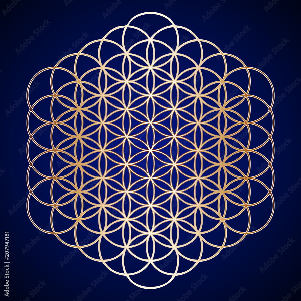 Gold Flower of Life on Background Stock Vector | Adobe Stock
