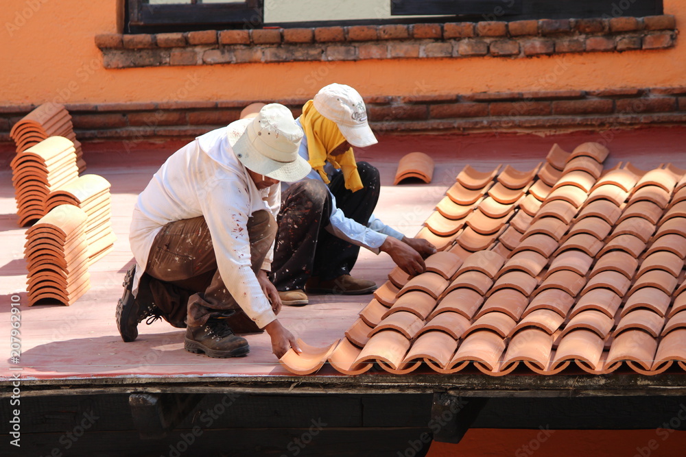 teja Stock Photo | Adobe Stock