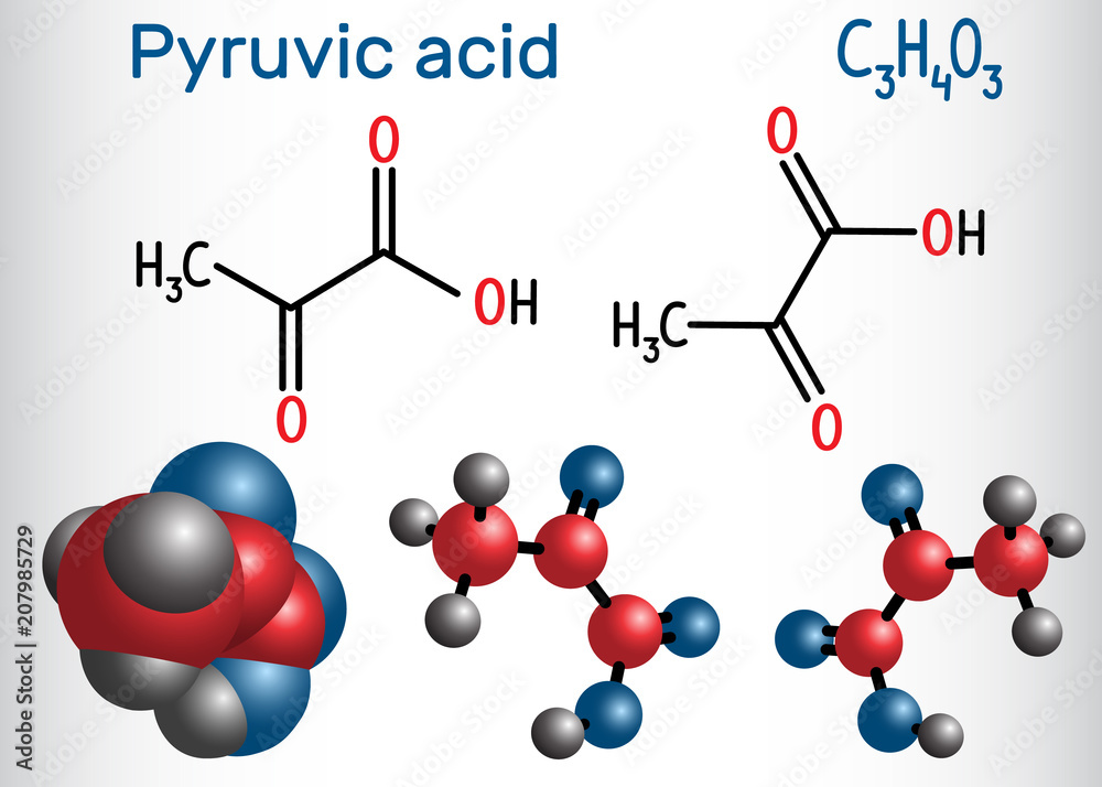 Pyruvic acid (pyruvate) molecule. It is the simplest of the alpha-keto ...