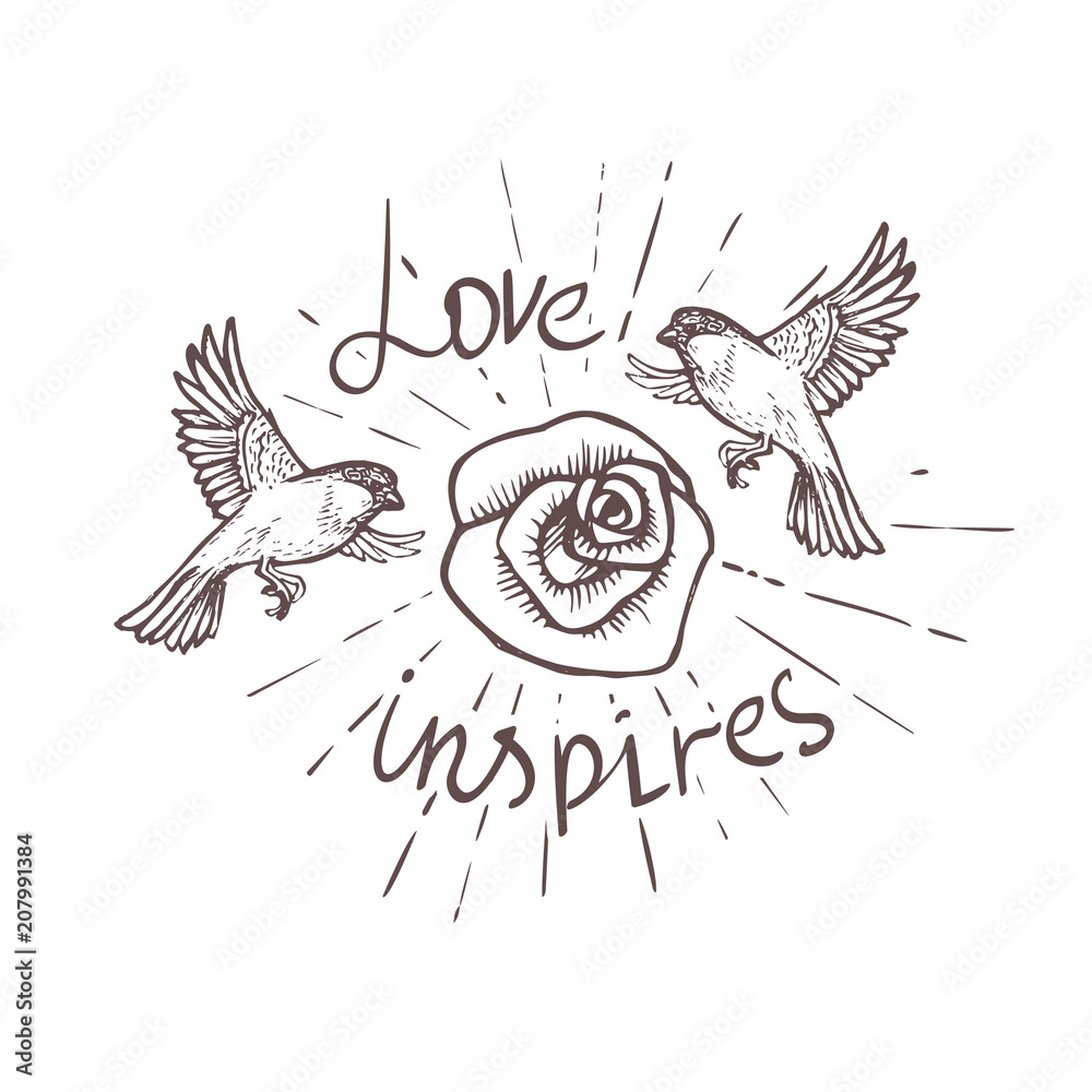 Flying Love Birds Drawing