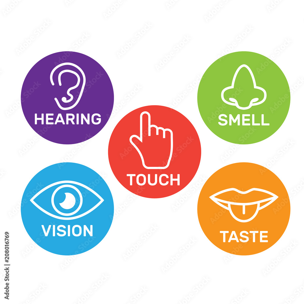 Vecteur Stock 5 senses icon collection color. Five senses icon set ...
