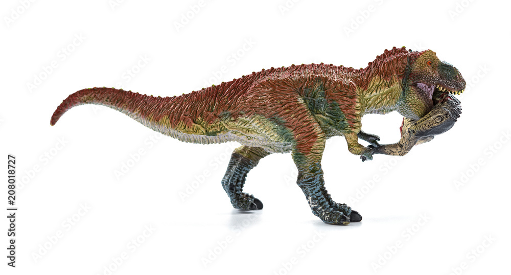 tyrannosaurus biting a dinosaur body with blood on white background ...