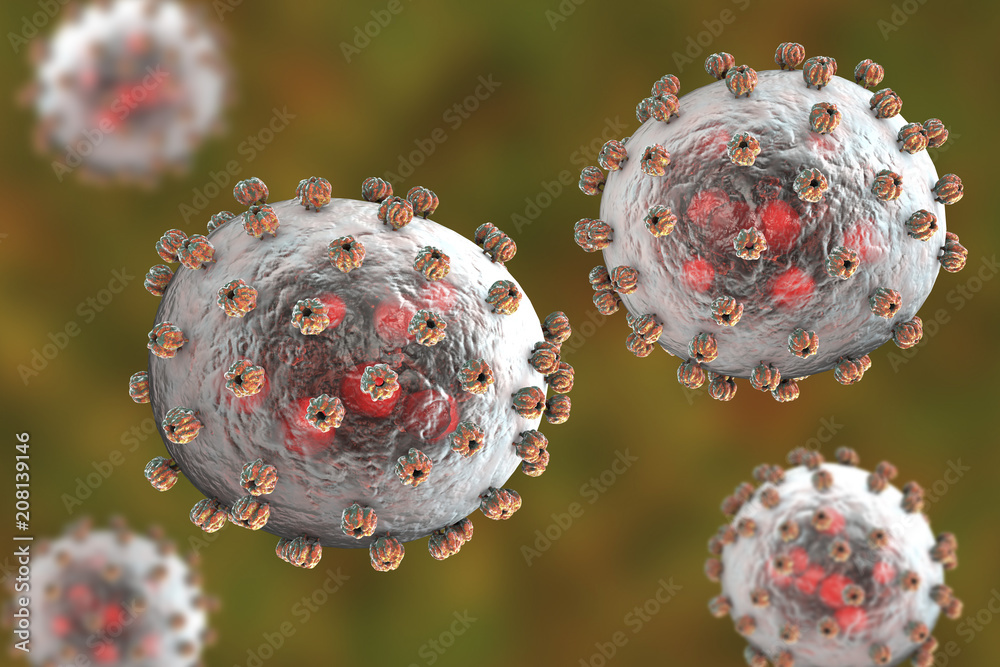 Lassa fever viruses, 3D illustration. RNA-viruses from Arenaviridae ...