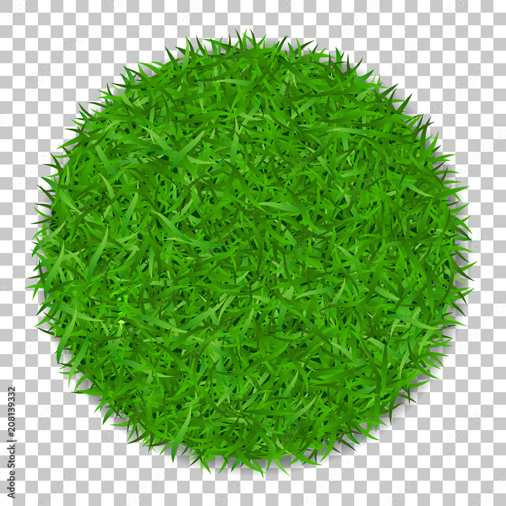 Grass circle 3D. Green plant, grassy round field, isolated white ...
