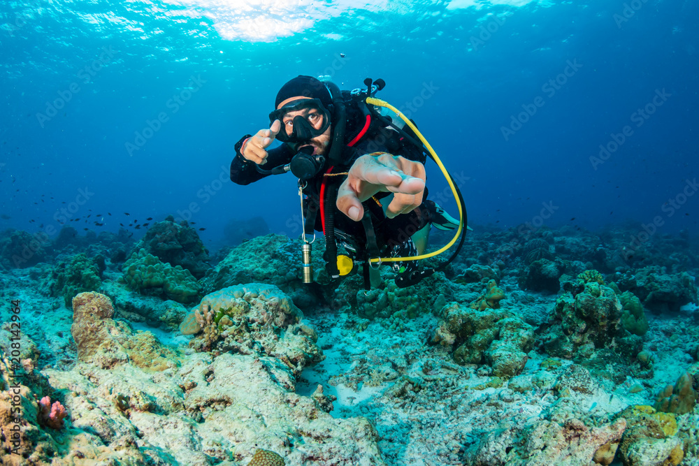 SCUBA diver swimming through tropical fish on a colorful coral reef ...