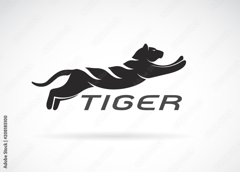 Vector of black tiger design on white background. Wild Animals. Easy ...