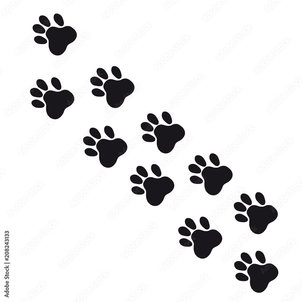 Cat tracks black on white background. Vector illustration. Stock Vector ...