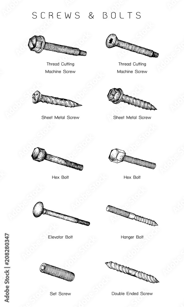 Hand Drawn Sketch of Screw Types Set Stock Vector | Adobe Stock