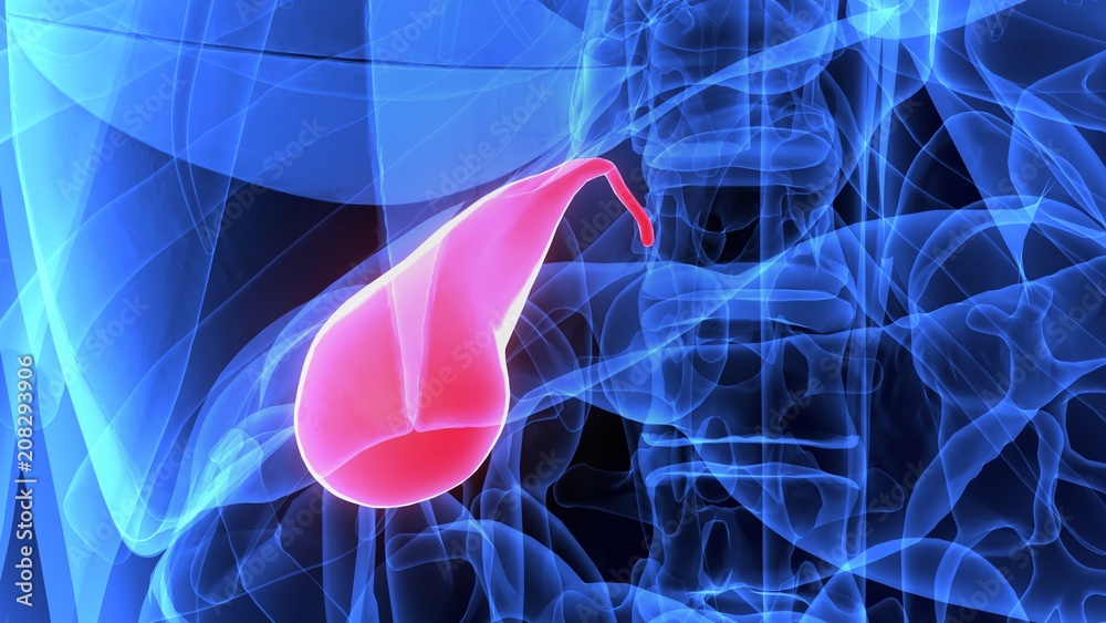 3d illustration of Human body Gallbladder anatomy Stock Illustration ...