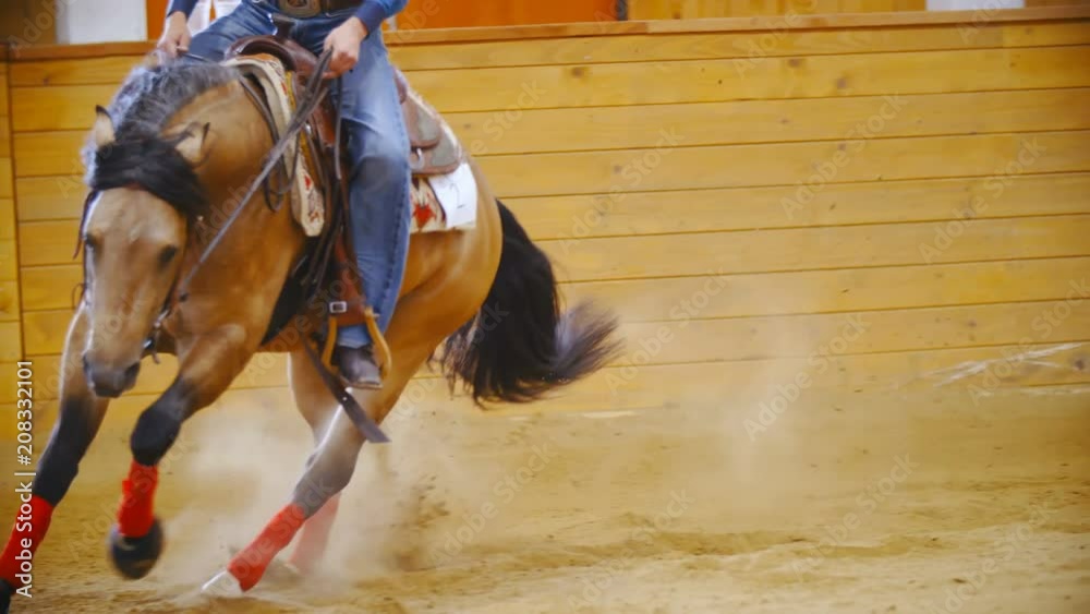 Beautiful western horse galloping in slow motion 4K. Long shot tracking ...
