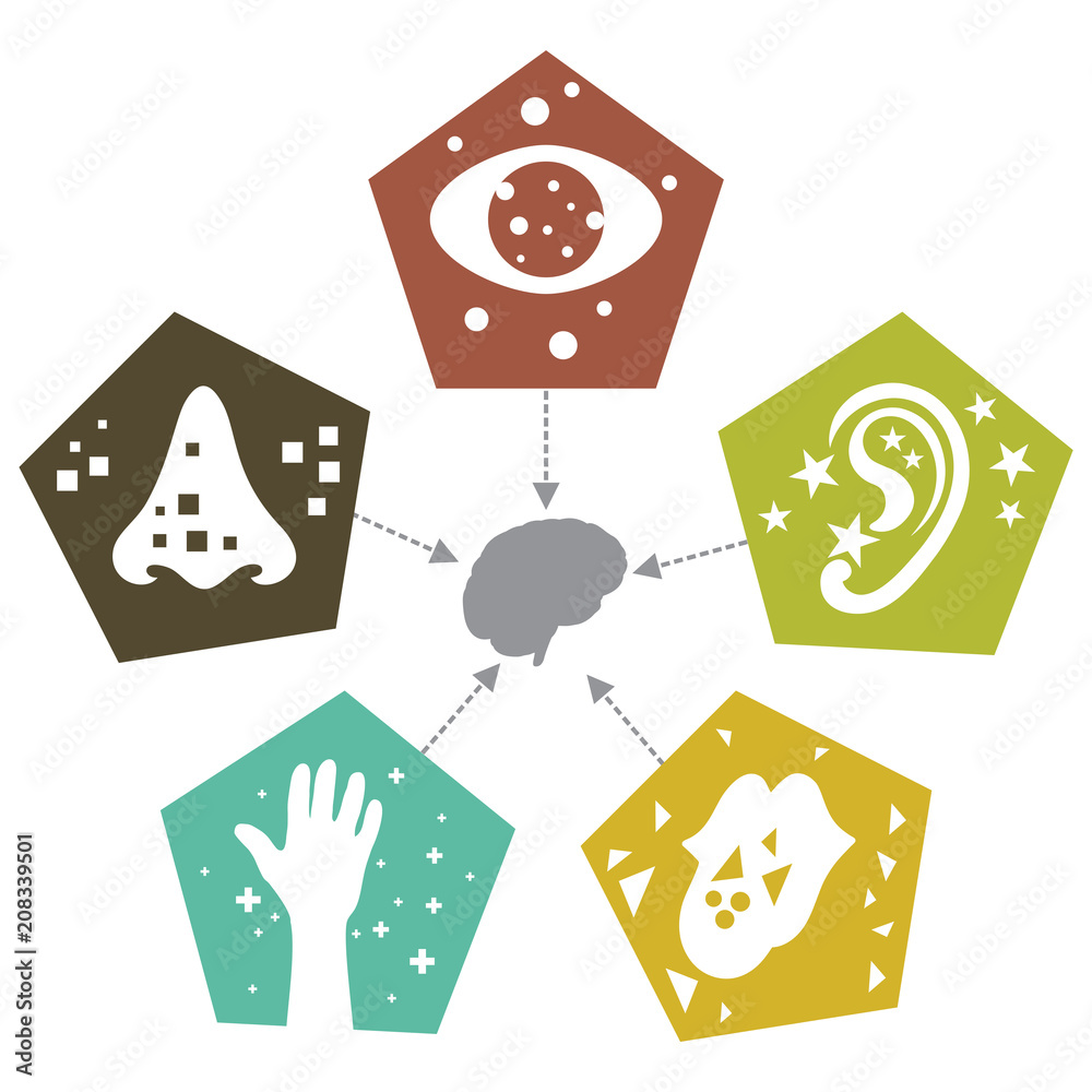 An abstract illustration of the five senses with simple icons on an ...