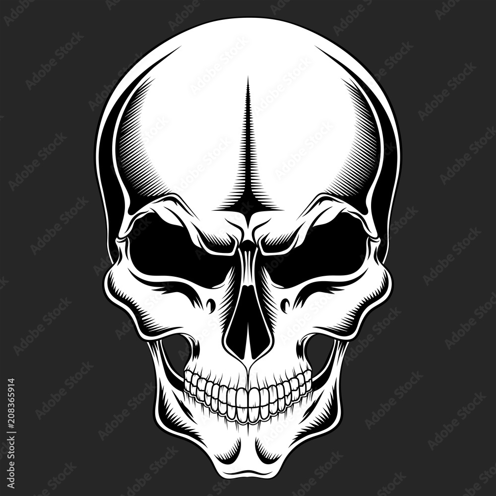 Vector black and white skull Stock Vector | Adobe Stock