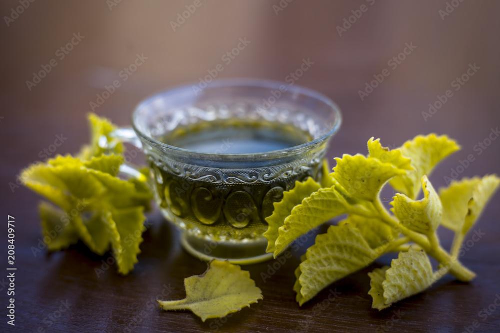 Carom Leaves
