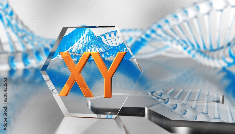 X and Y chromosome, DNA, 3D rendering Stock Illustration | Adobe Stock