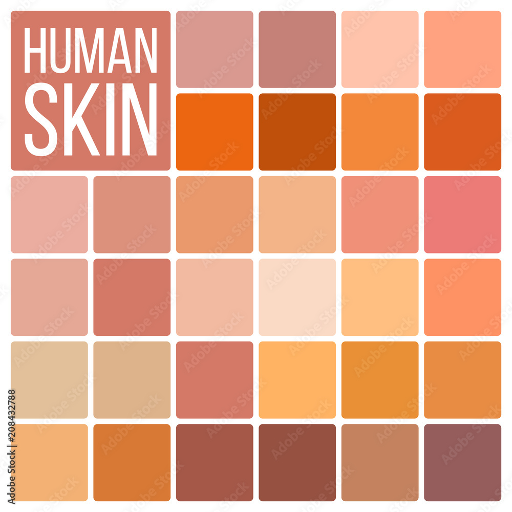 Human Skin Vector. Various Body Tones Chart. Realistic Texture Palette ...