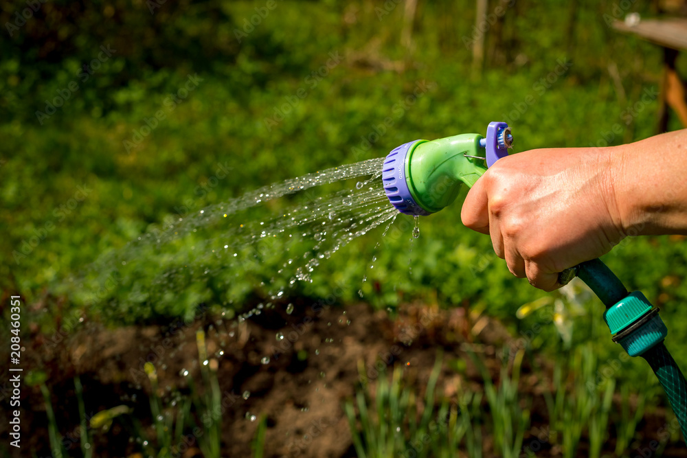Garden Hand Sprinkler