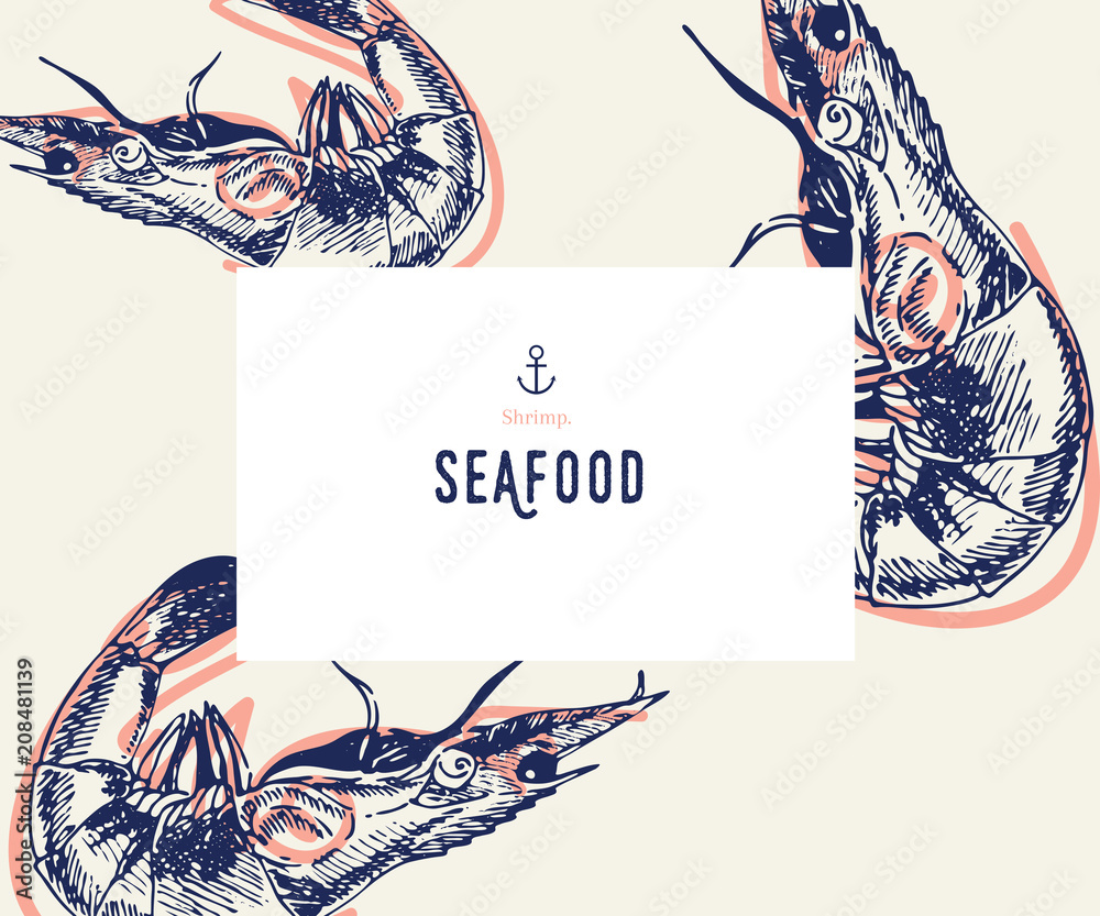 Seafood banner set. Hand drawn shrimp. Vector restaurant menu. Marine ...