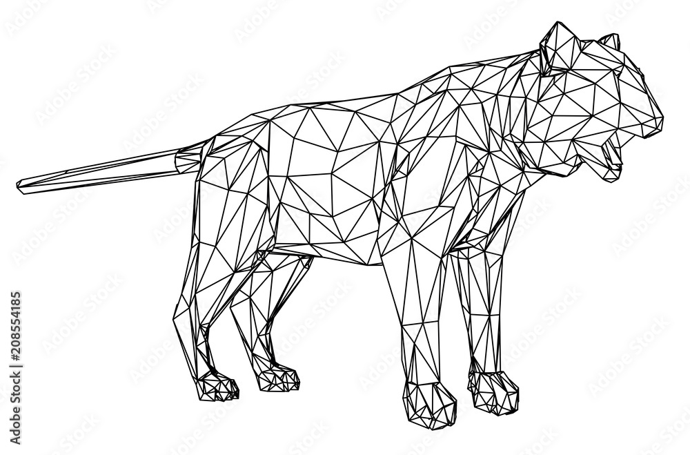 Abstract Tiger Line Drawing