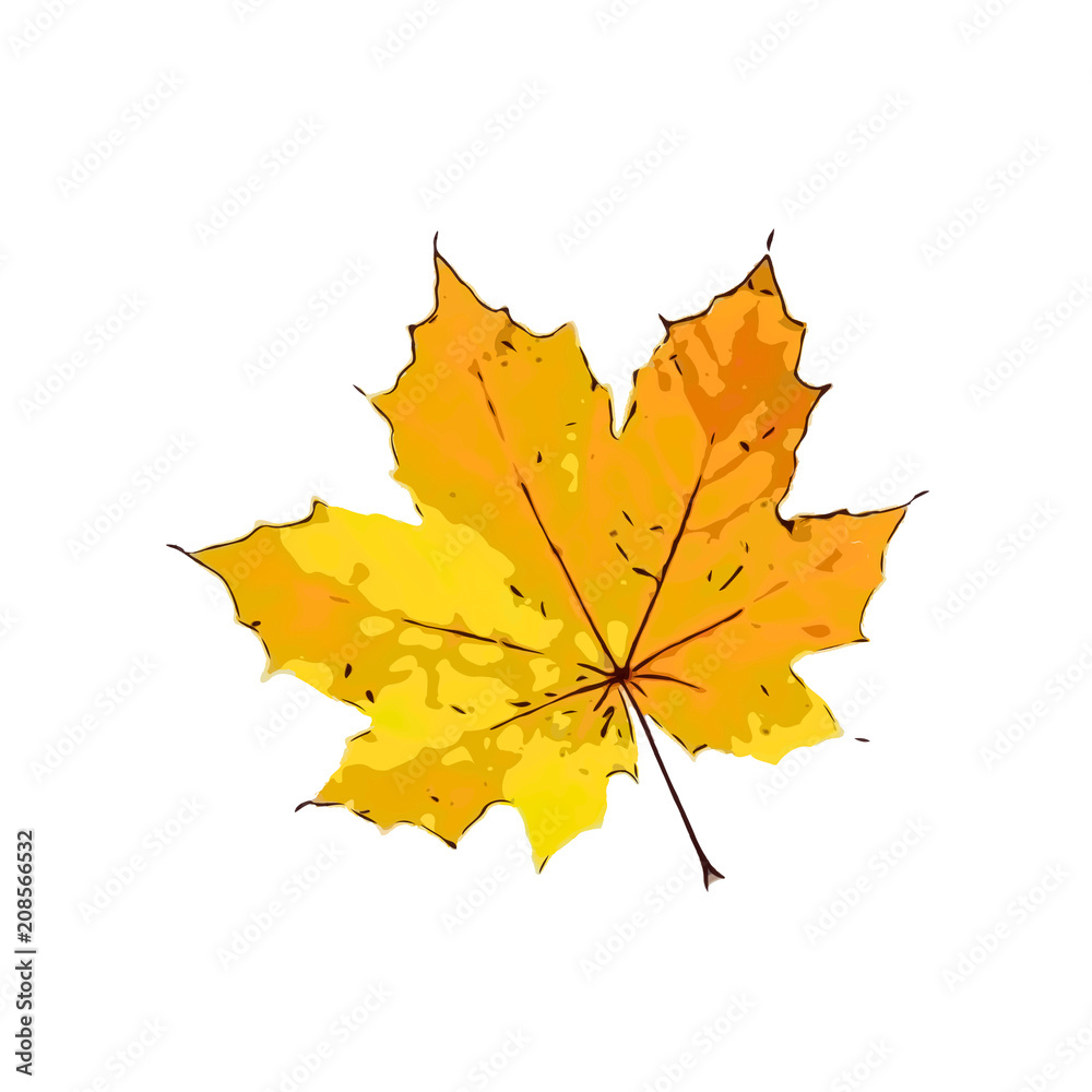Dry Leaf Vector