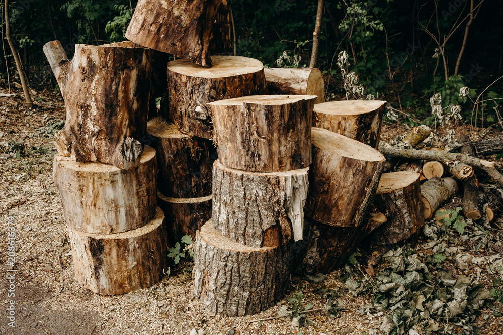 Wooden natural sawn logs closeup, texture background. Cross section of ...