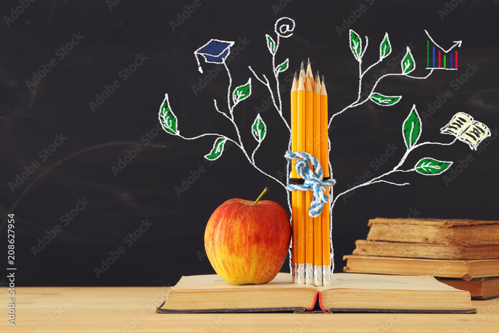 Bck to school concept. tree of knowledge sketch and pencils over open ...