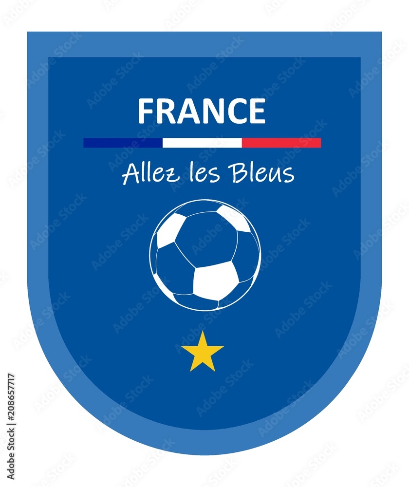 Allez les Bleus, équipe de France de football dans un blason Stock ...