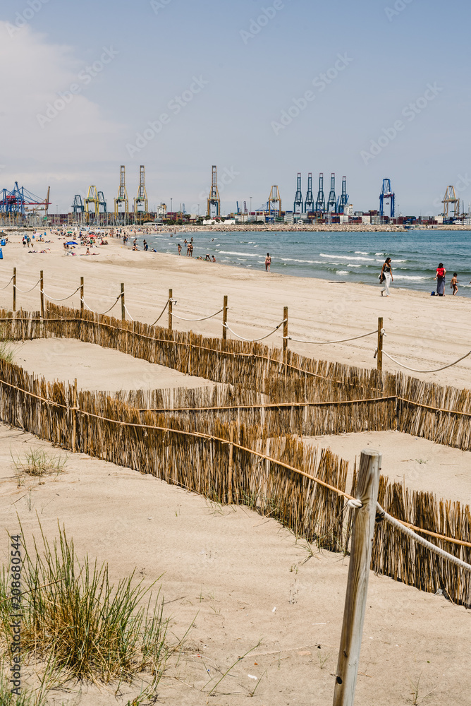 Beach At Noon