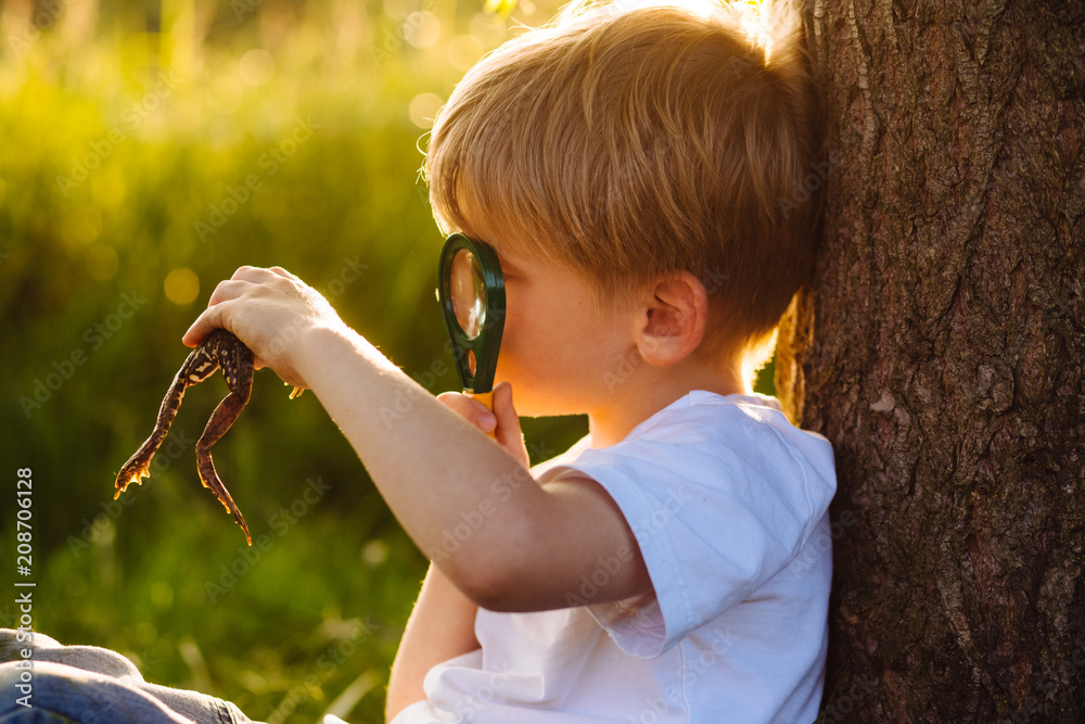 Cute blond preschooler boy examining a frog with a magnifying glass ...