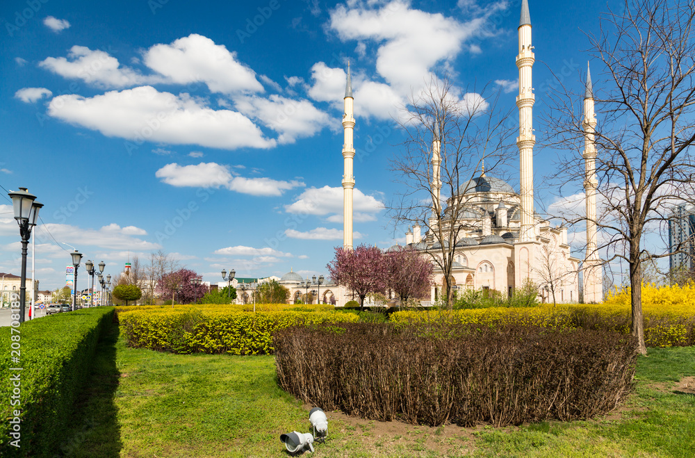 Mosque "Heart of Chechnya". Administrative and society buildings in the ...