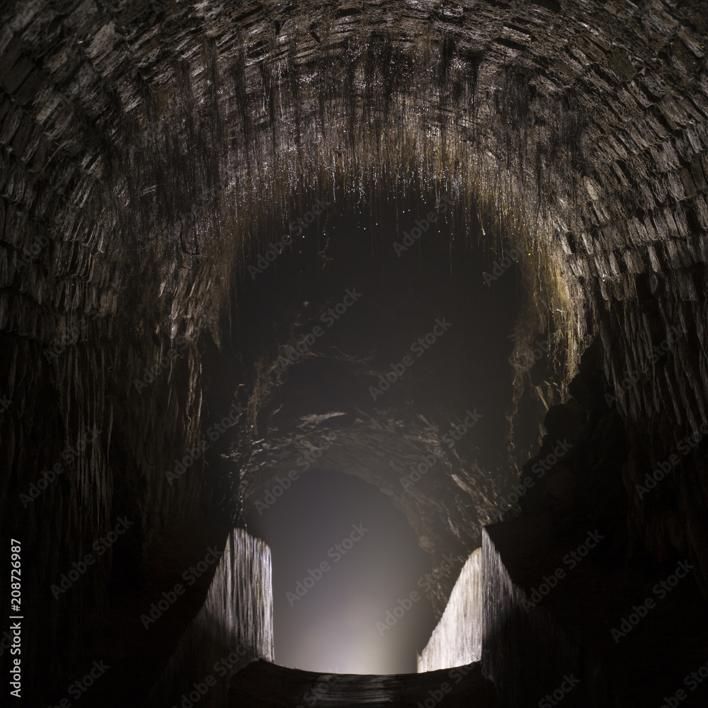 Old historic medieval mine with tree roots growing through arched brick ...